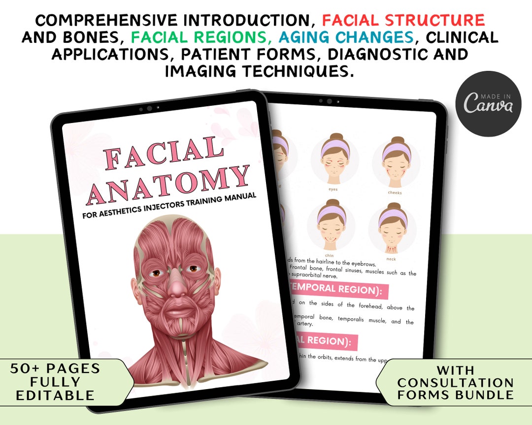 Facial Anatomy for Aesthetics Injectors Training Manual (PDF Ebook) - Etsy