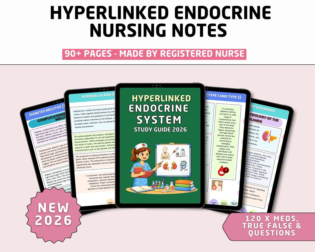 Endocrine Notes | Endocrine System Disorders | Nursing Bundle | PDF - Etsy