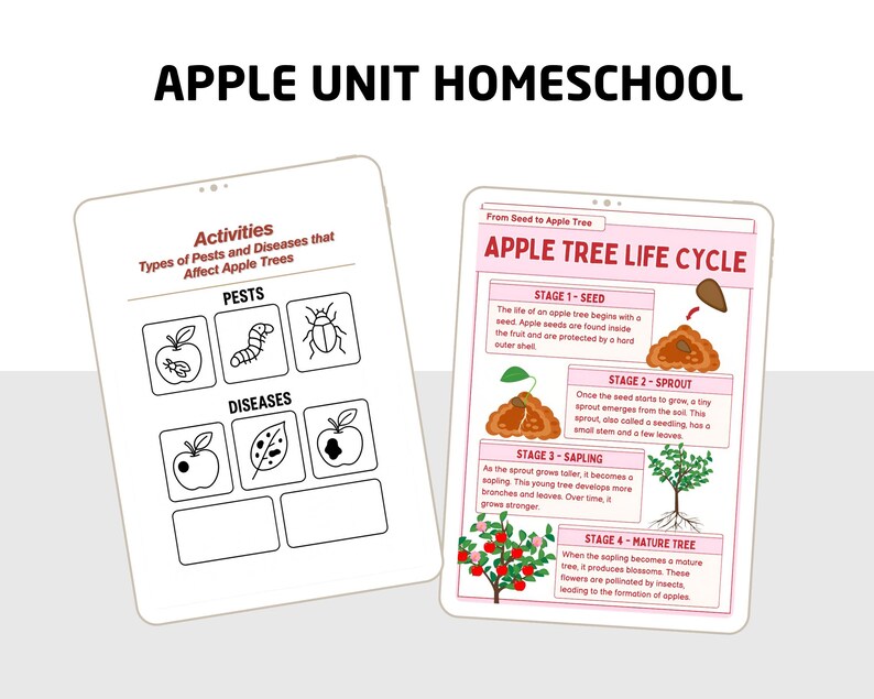 APPLE Mini Unit Study, Life Cycle, Anatomy, Nature Study, Science ...