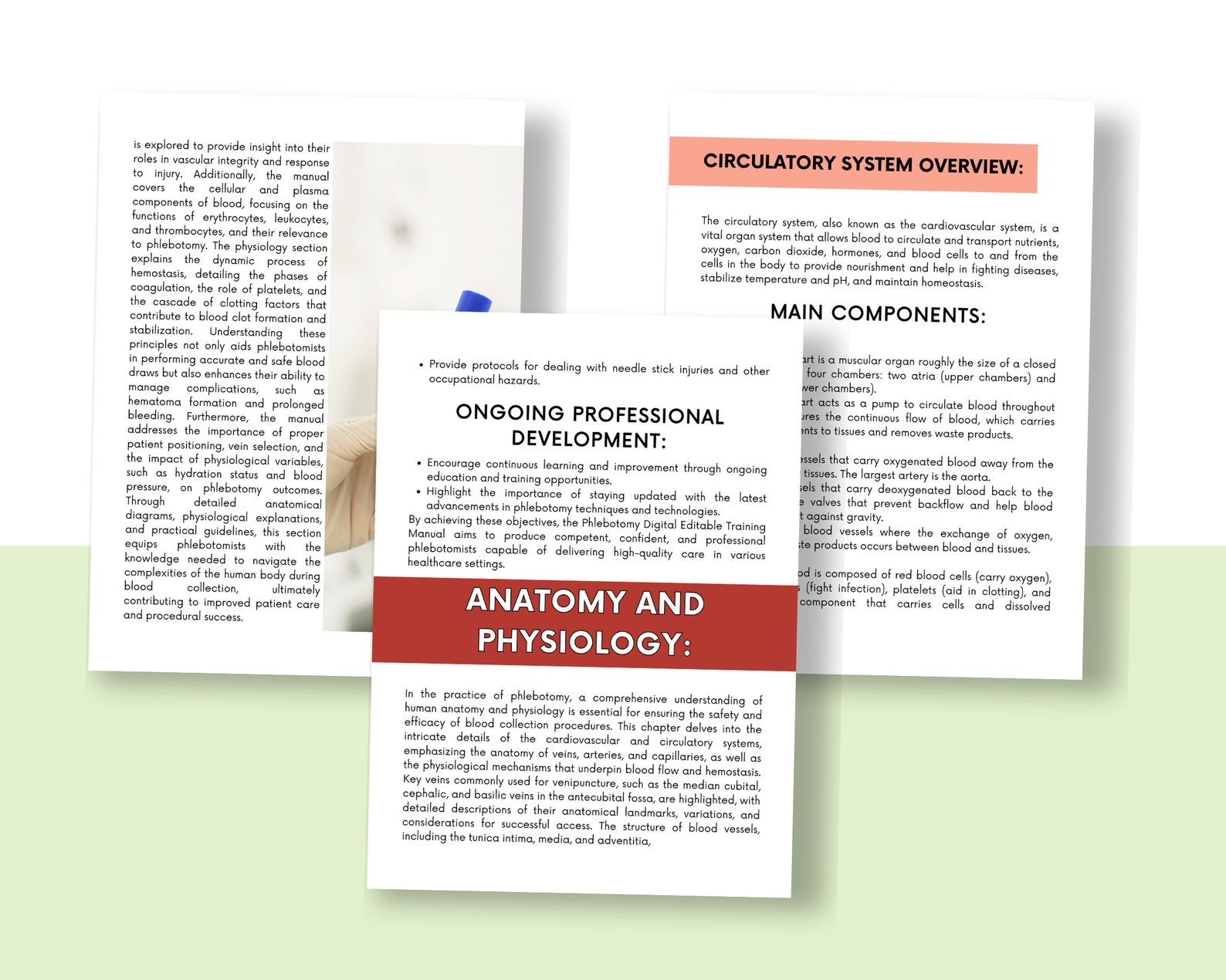 Phlebotomy Training Manual: Editable Digital Guide (canva) - Etsy
