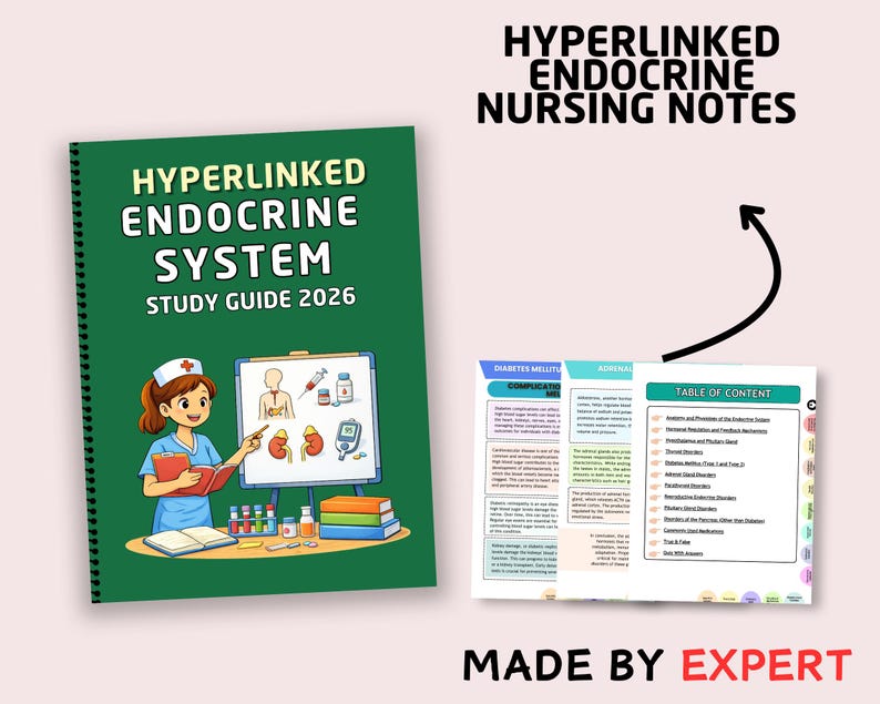 Endocrine Notes | Endocrine System Disorders | Nursing Bundle | PDF - Etsy