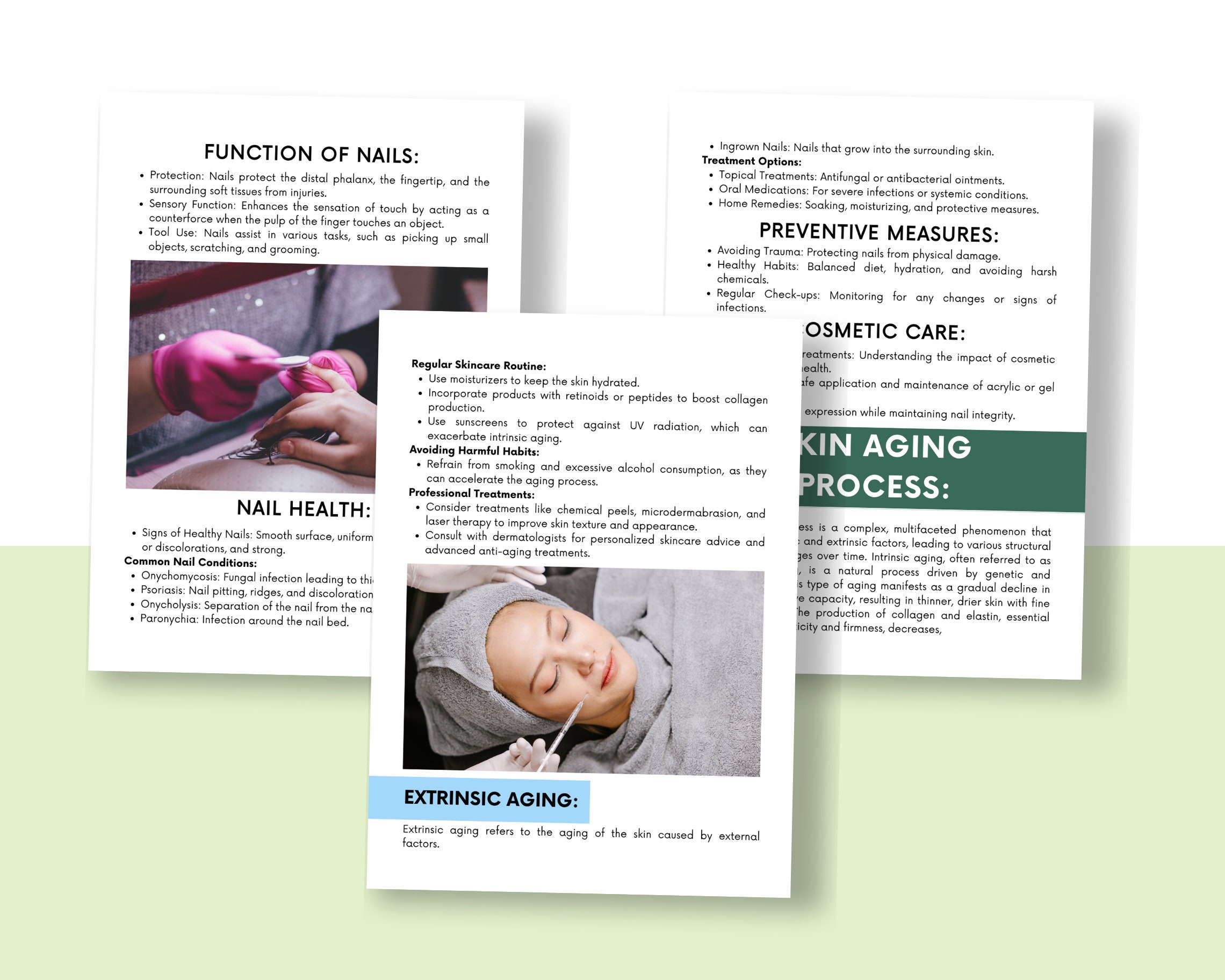 Skin Anatomy & Aging Printable Manual: Skincare Guide (canva Editable ...