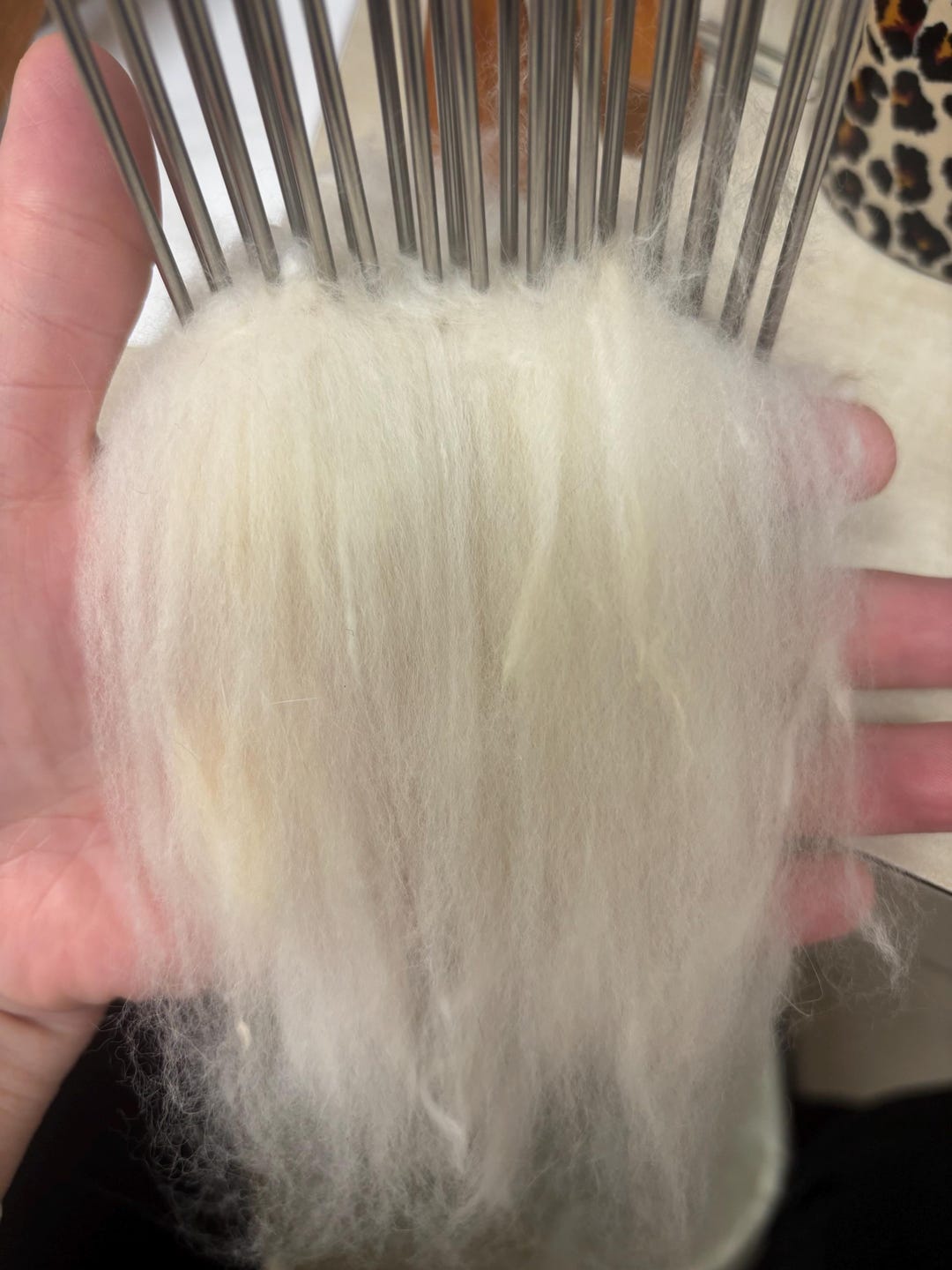 Angora Rabbit Fibre; 2 Oz. ; No Second Cuttings or VM; Luxuriously Fine ...