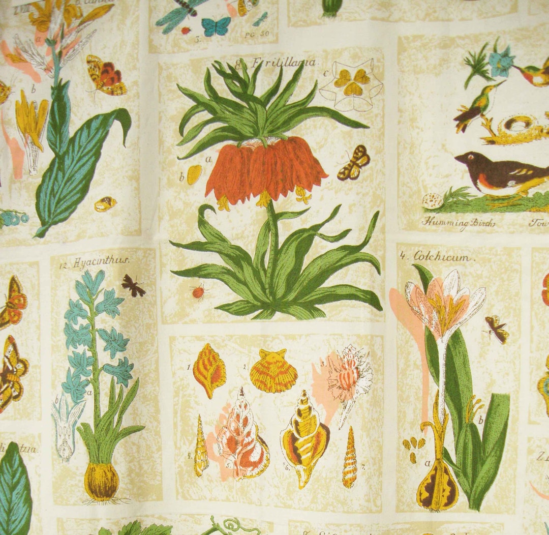 Vintage Botanical Fabric Flowers Insects Birds Greeff Fabrics Sample ...
