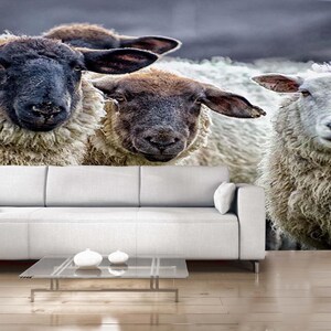 Sheep Wall Decor, Sheep Wall Painting, Animal Wall Art, Wall Stickers ...