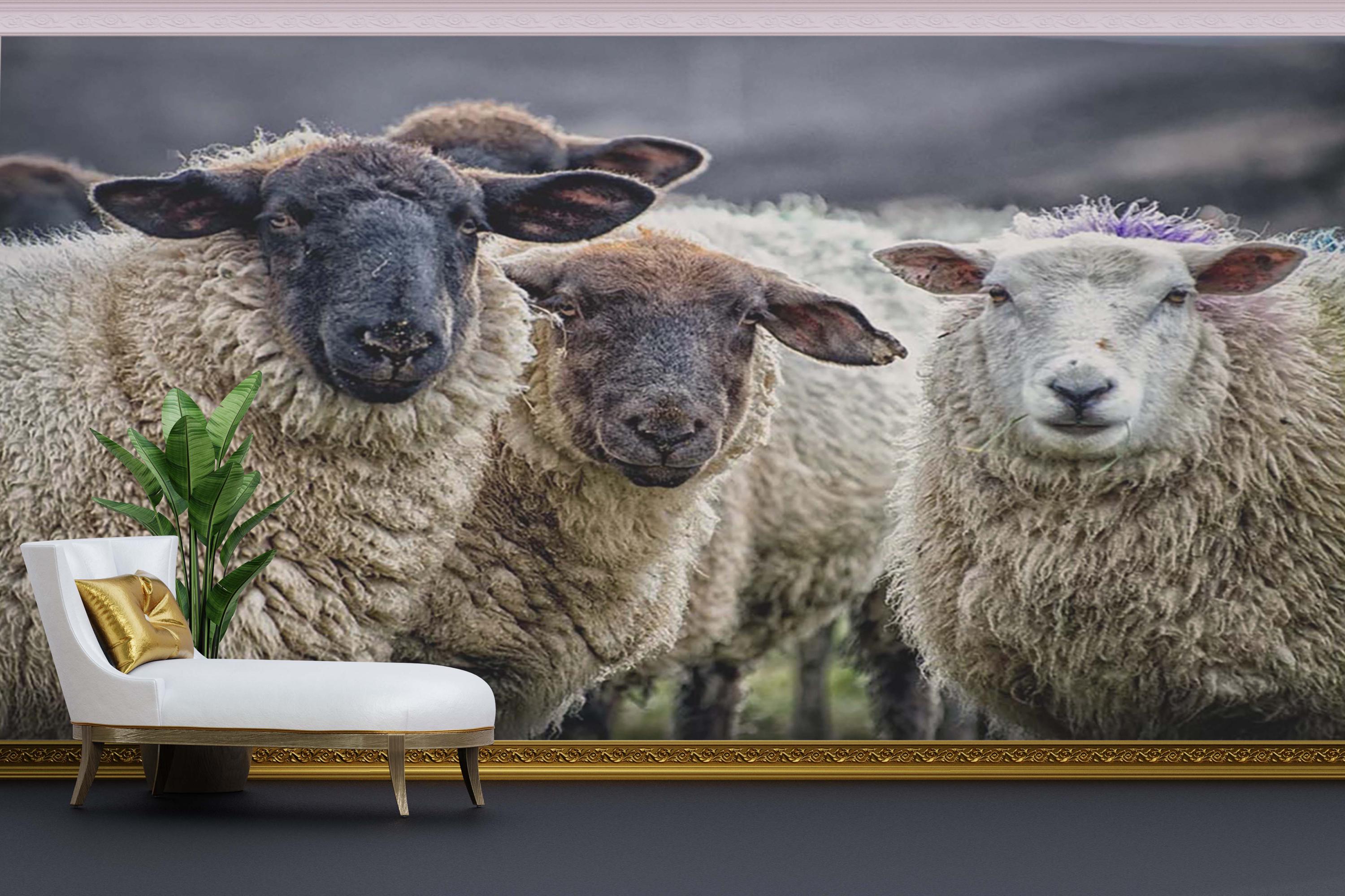 Sheep Wall Decor, Sheep Wall Painting, Animal Wall Art, Wall Stickers ...