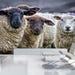 Sheep Wall Decor, Sheep Wall Painting, Animal Wall Art, Wall Stickers ...