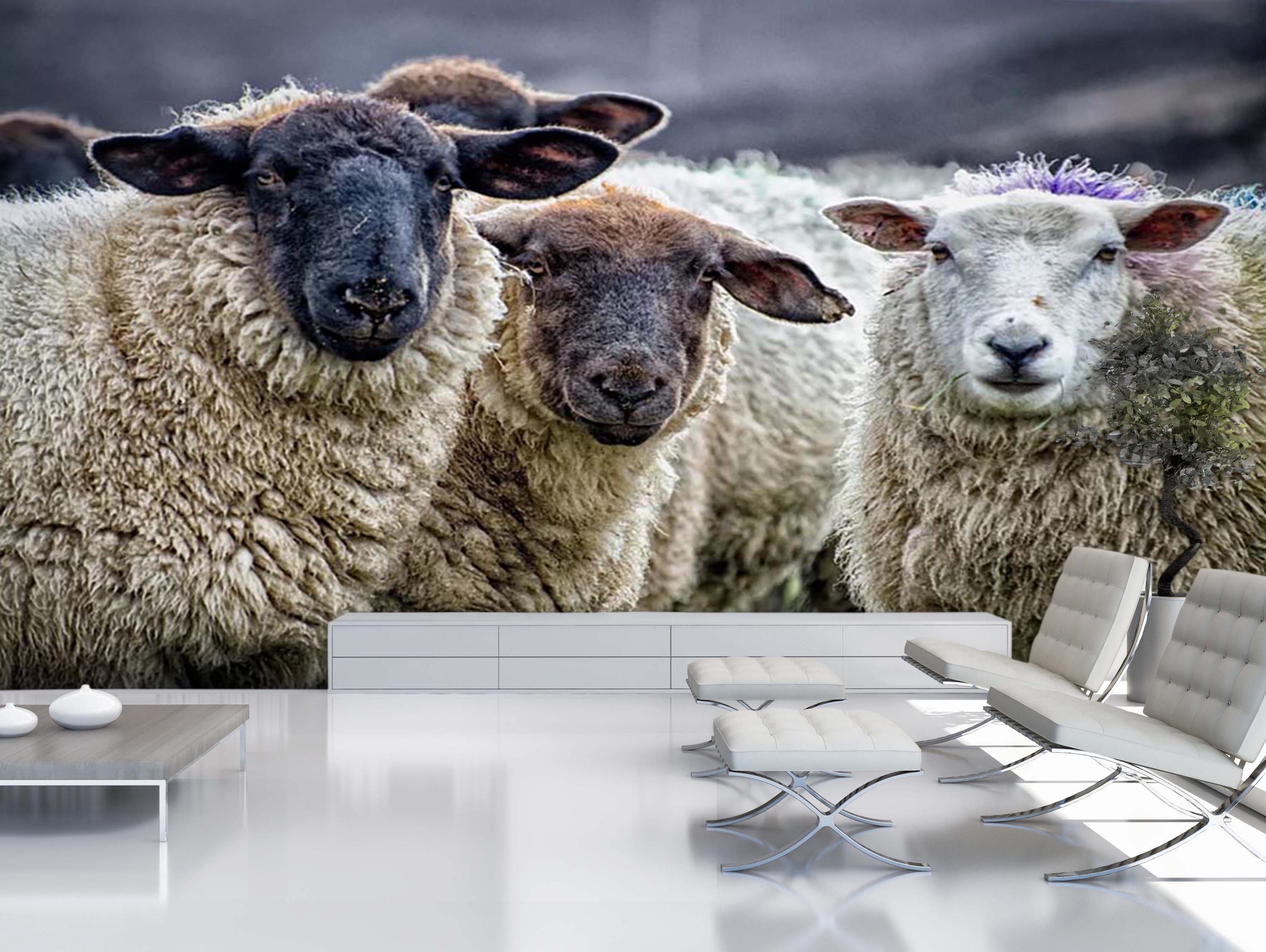 Sheep Wall Decor, Sheep Wall Painting, Animal Wall Art, Wall Stickers ...