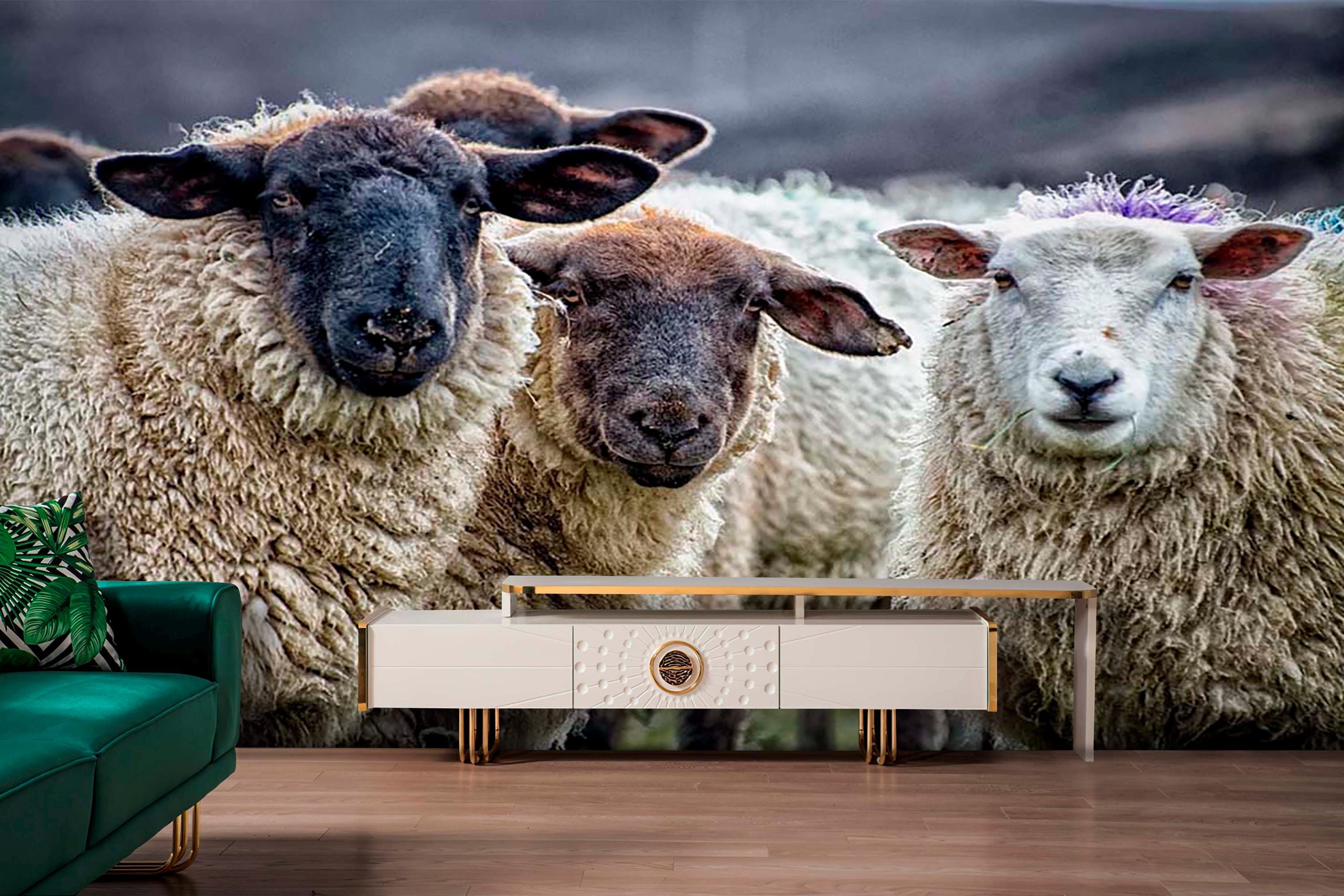 Sheep Wall Decor, Sheep Wall Painting, Animal Wall Art, Wall Stickers ...