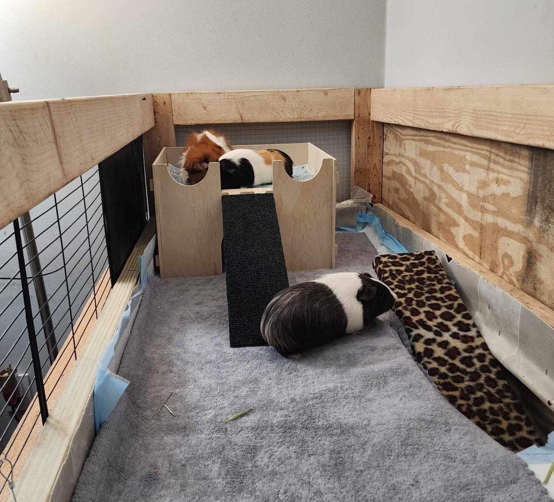 Guinea Pig Hideout for Small Pets - Etsy
