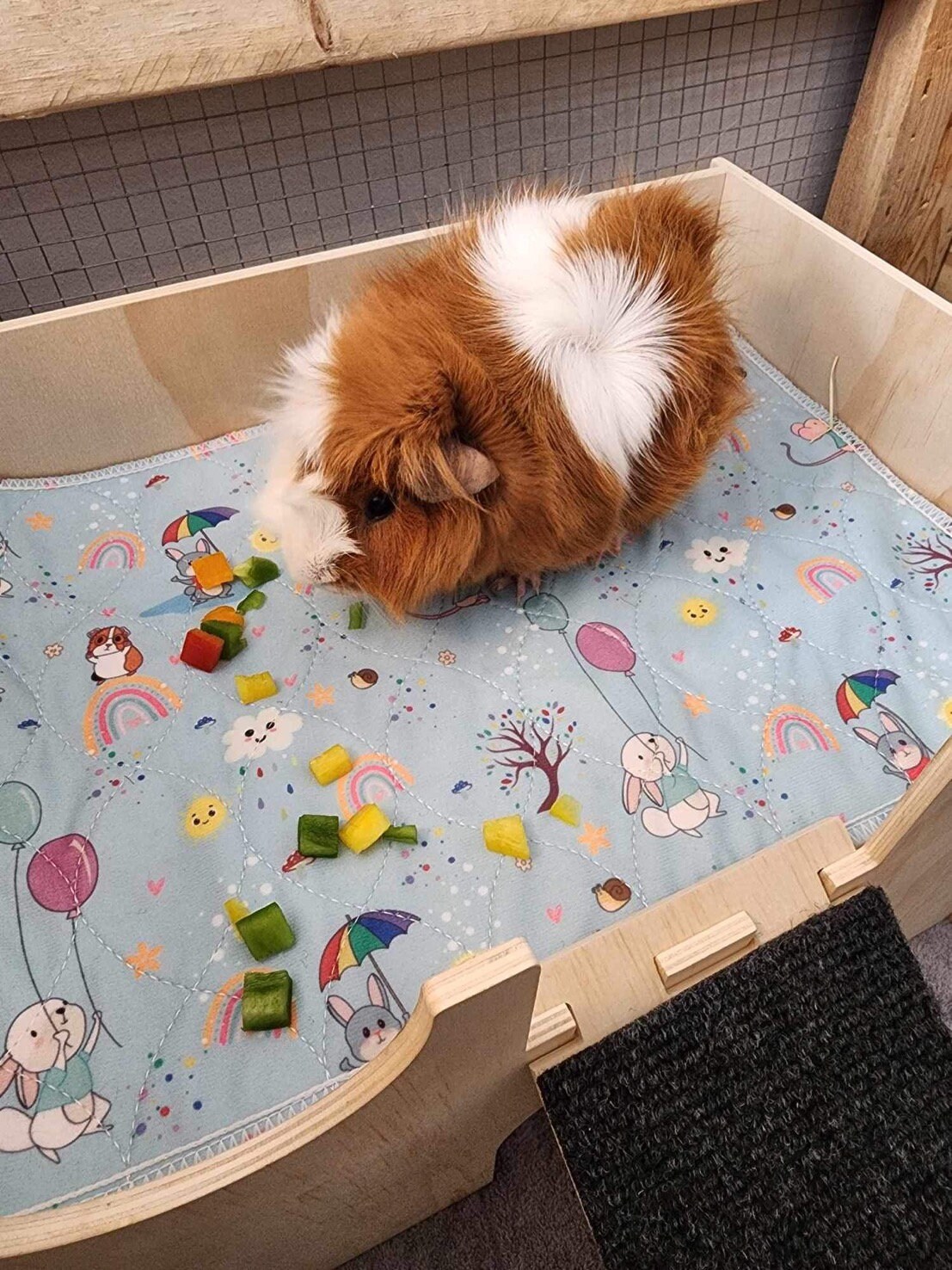 Guinea Pig Hideout for Small Pets - Etsy