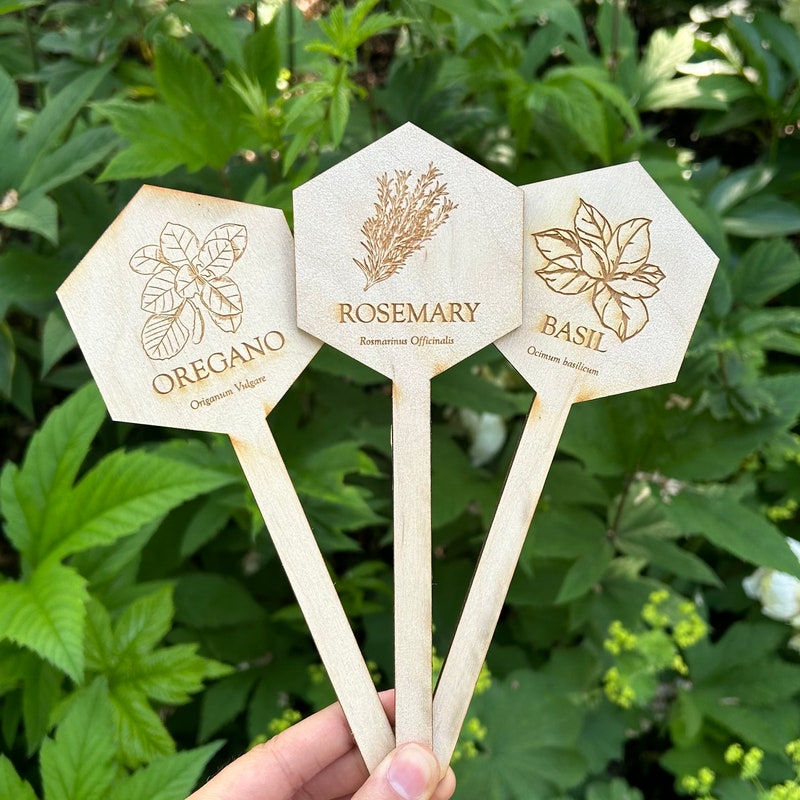 Herb Garden Signs - Etsy