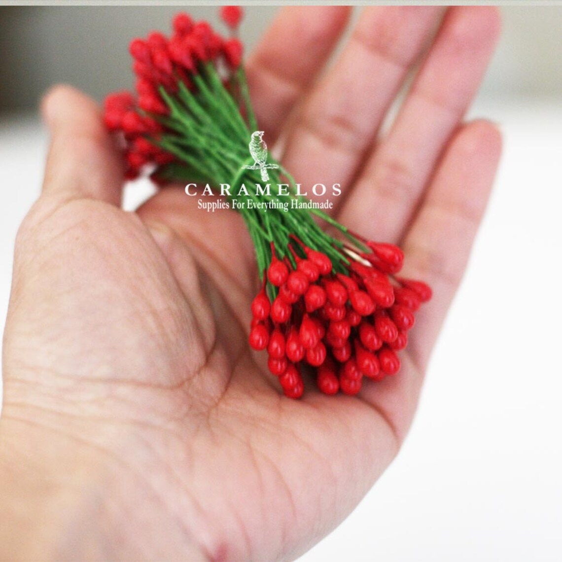 36 Mini Double Ended Stems of Red Holly Berries Stamen Pips/3 | Etsy