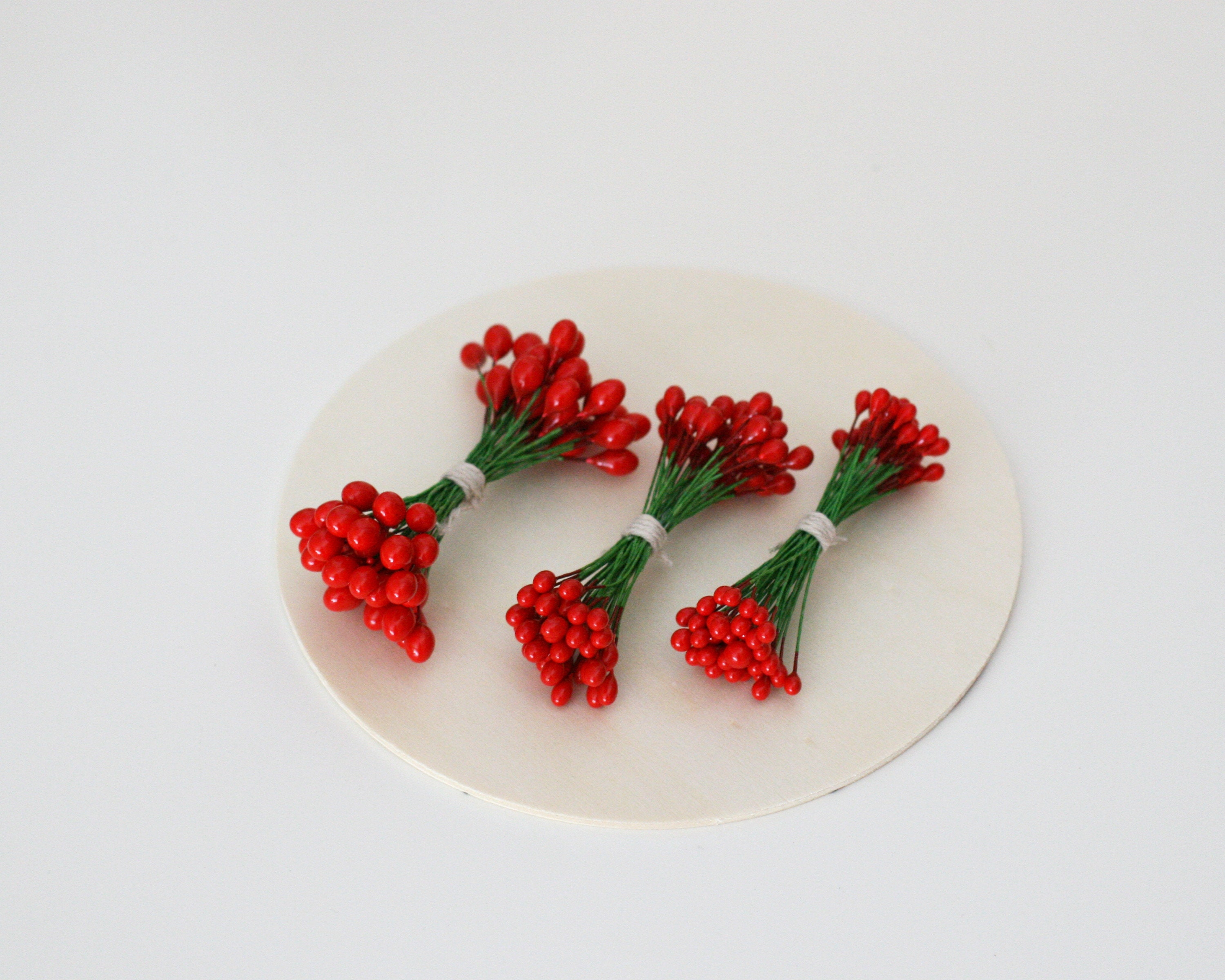 36 Mini Double Ended Stems of Red Holly Berries Stamen Pips/3 | Etsy