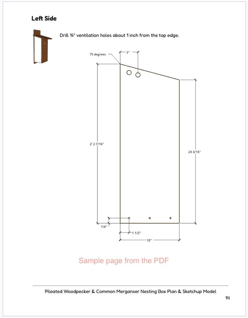 Pileated Woodpecker Nest Box Plans & Sketchup Model - Etsy