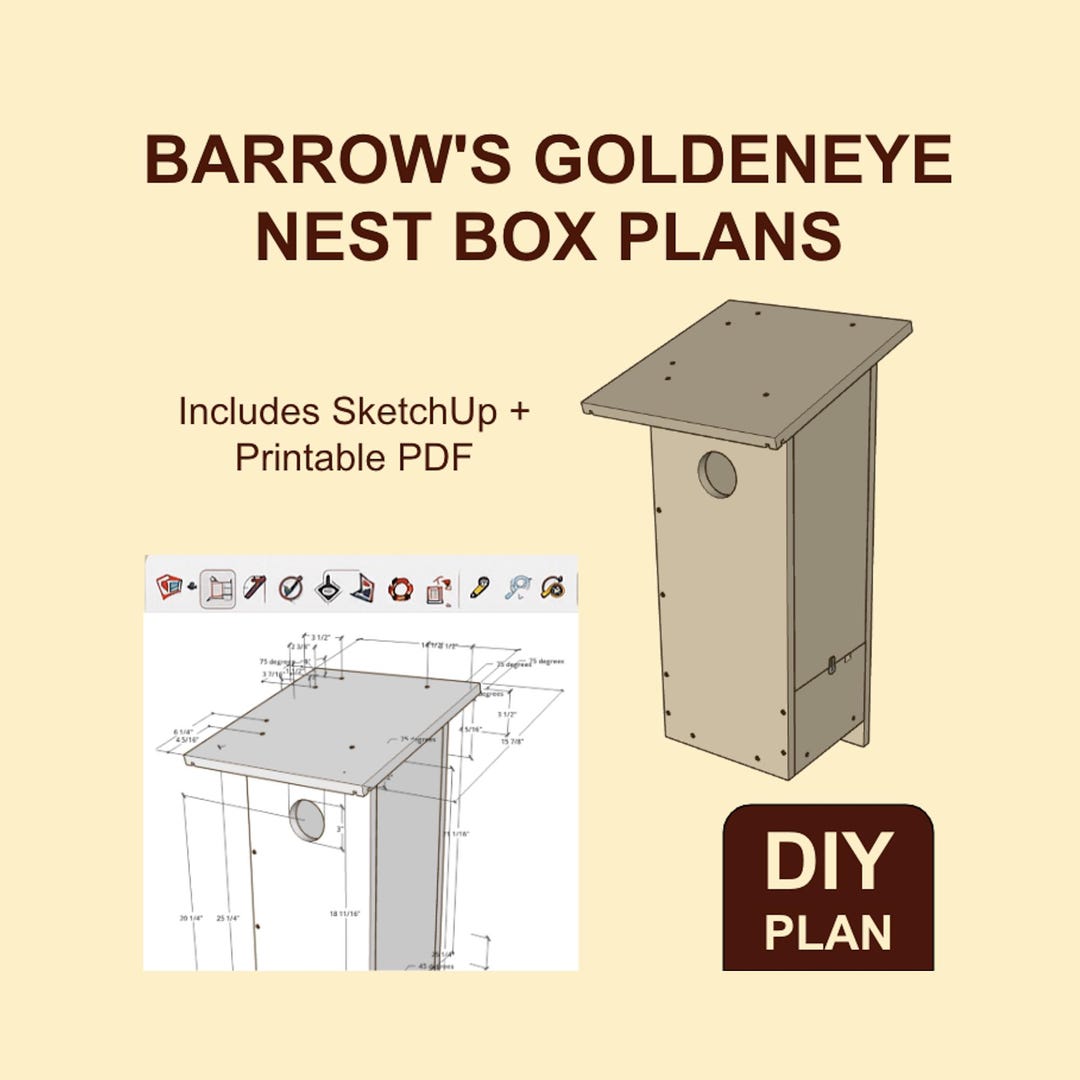 Barrow's Goldeneye Nest Box Plans and Sketchup Model - Etsy