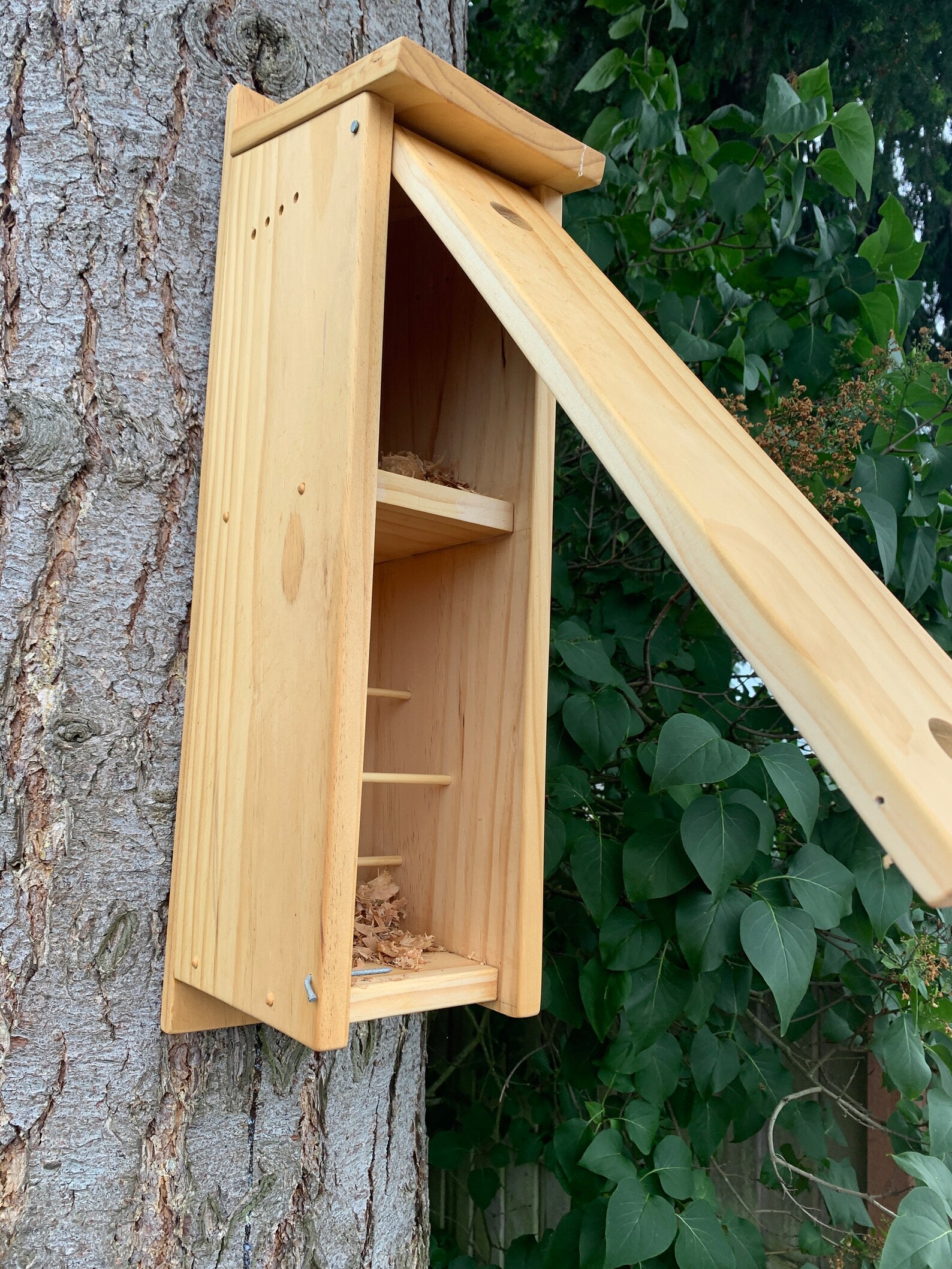 Chickadee House and Warm Haven - Etsy