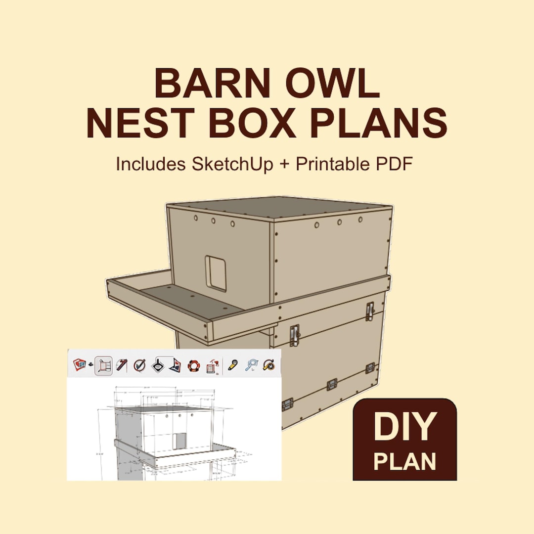 Indoor Barn Owl Nesting Box II Plans & Sketchup Model - Etsy