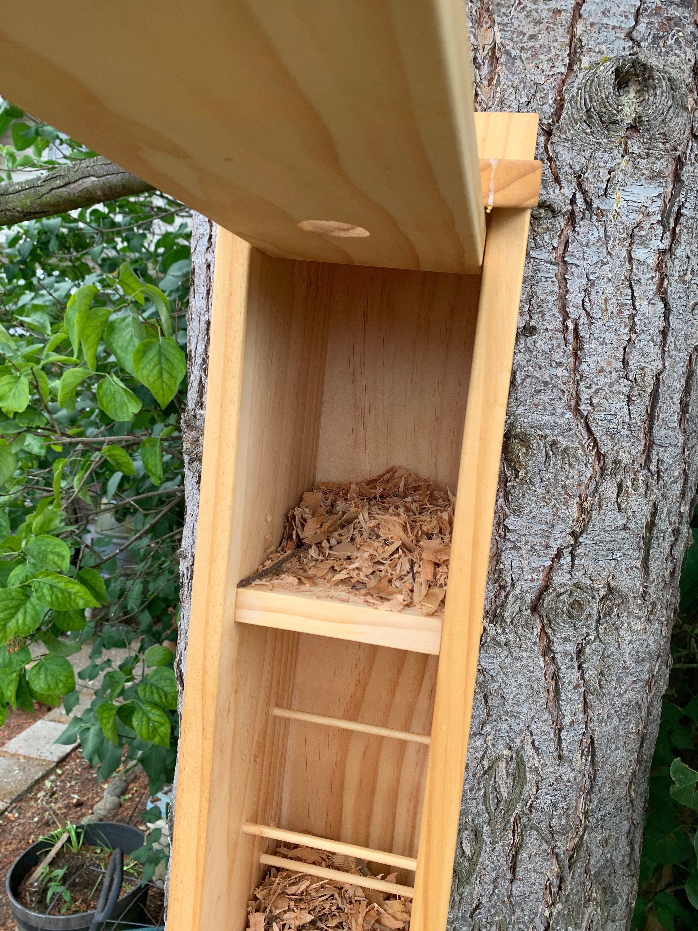 Chickadee House and Warm Haven - Etsy