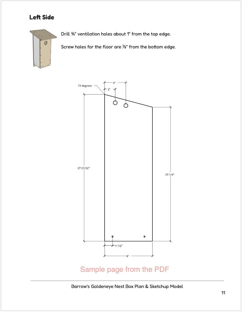 Barrow's Goldeneye Nest Box Plans and Sketchup Model - Etsy