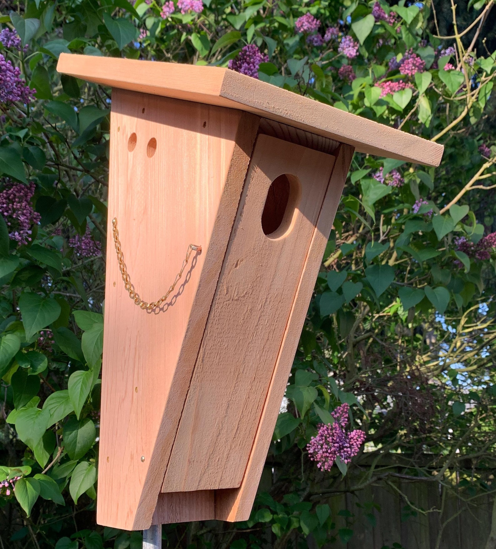 Peterson Bluebird Nest Box Plan – Proven Design, PDF Guide + Sketchup ...