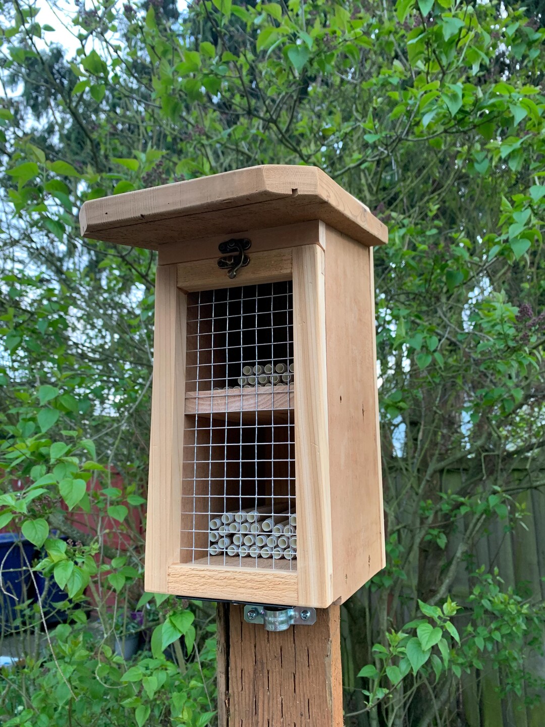 Mason Bee House – Premium Cedar Nest Box Holds 200 Tubes, Predator ...