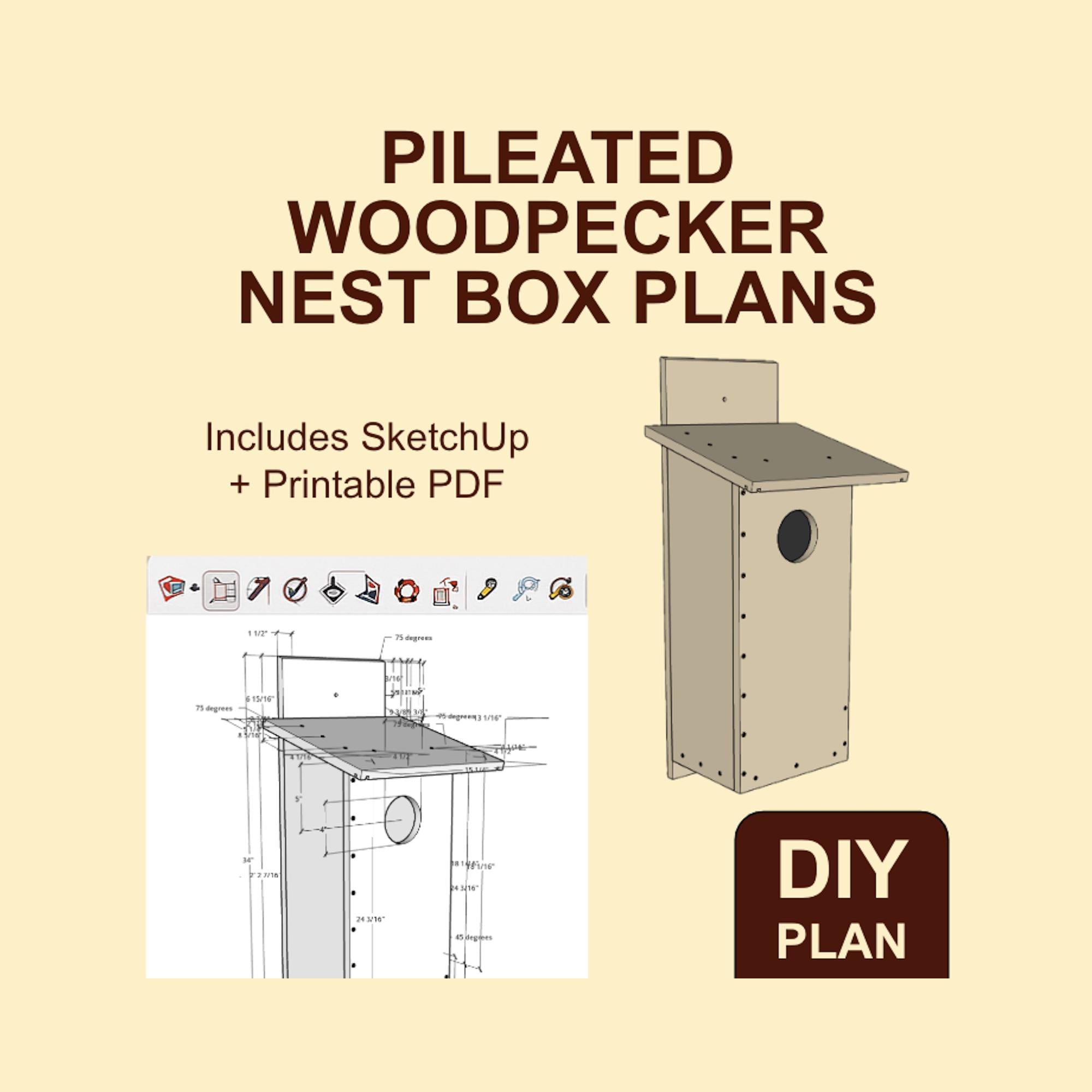 Pileated Woodpecker Nest Box Plans & Sketchup Model - Etsy