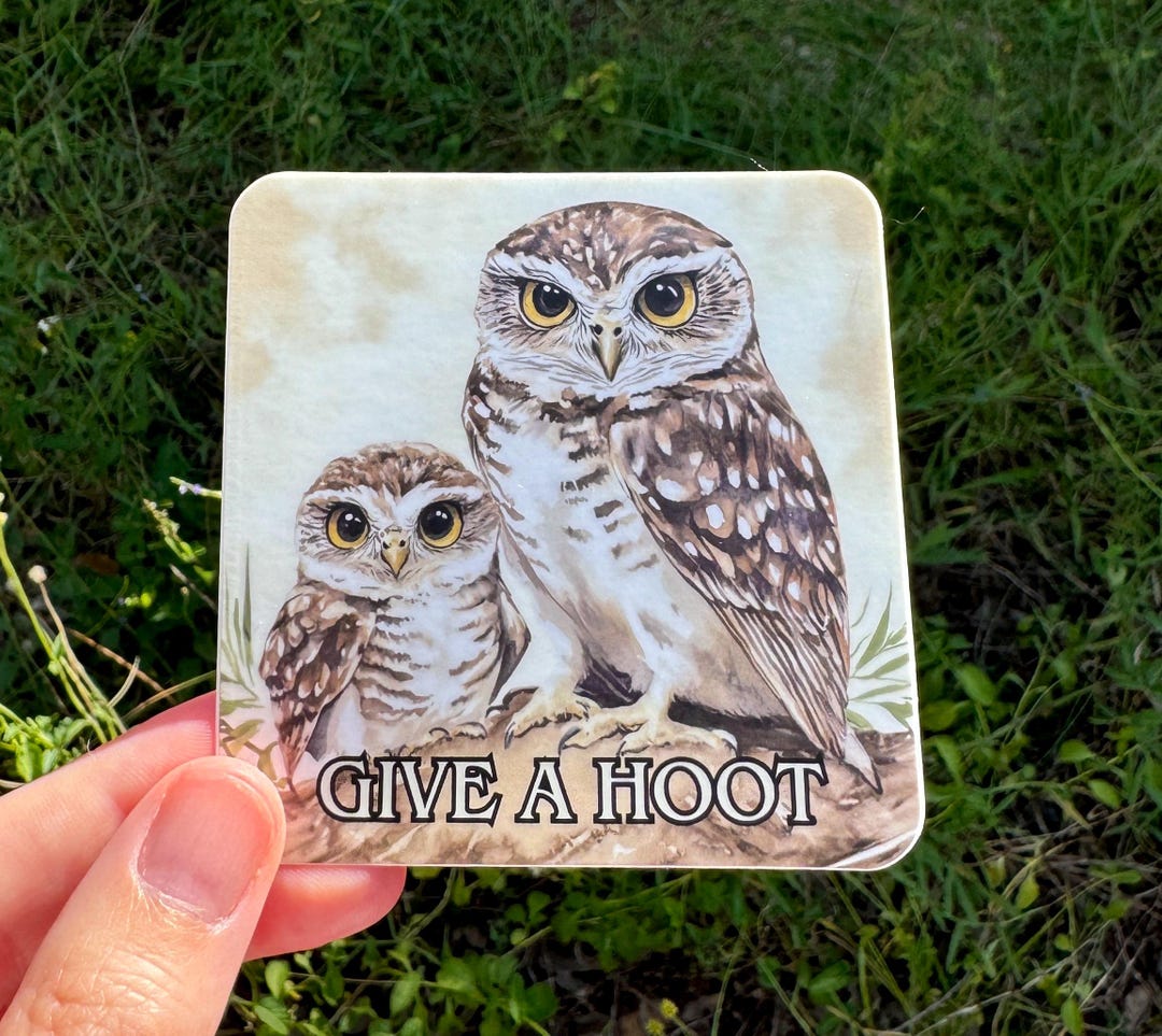 Give a Hoot/burrowing Owls/ Sticker/decal. Weather Resistant. - Etsy