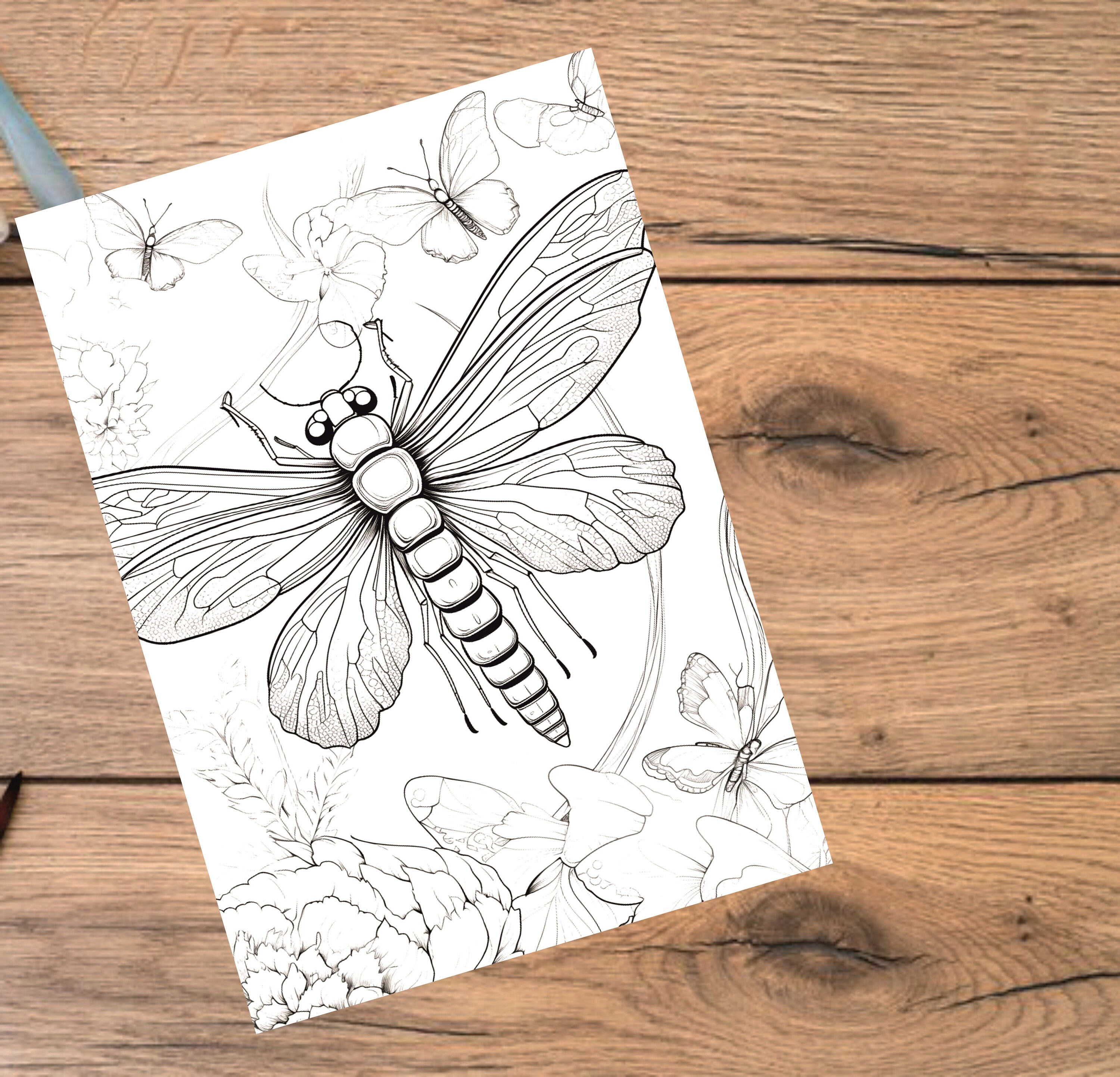 Insects Coloring Book, Printable Coloring Book, Nature Art, Entomology ...