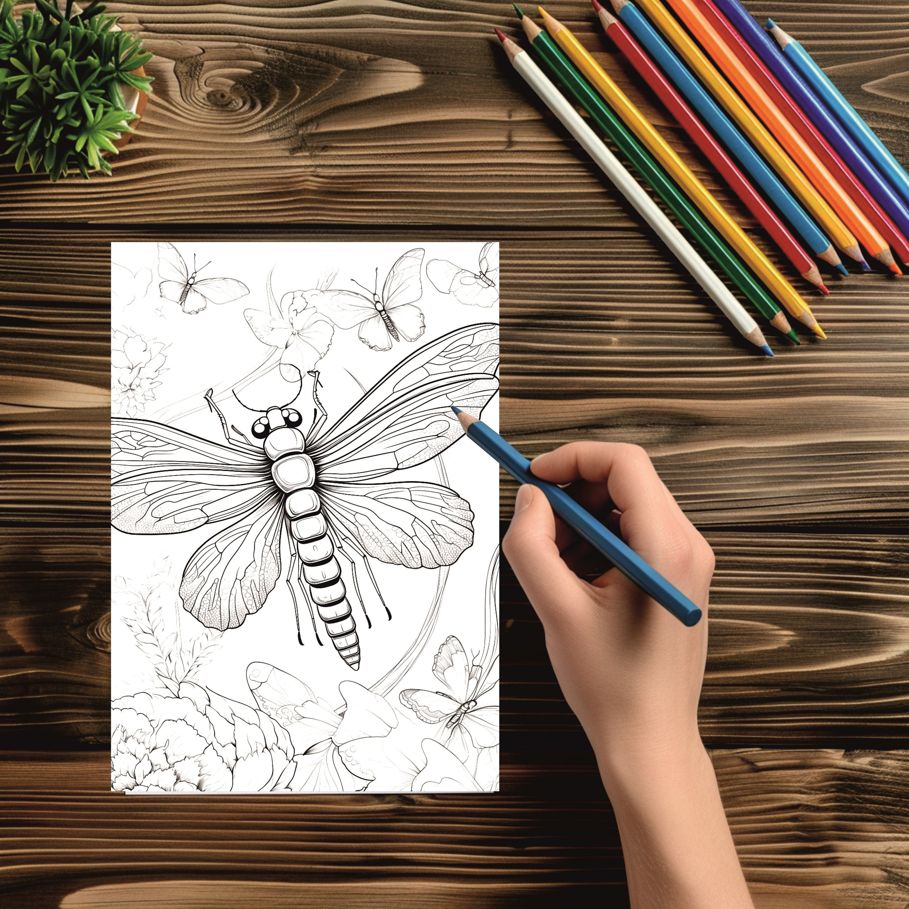 Insects Coloring Book, Printable Coloring Book, Nature Art, Entomology ...