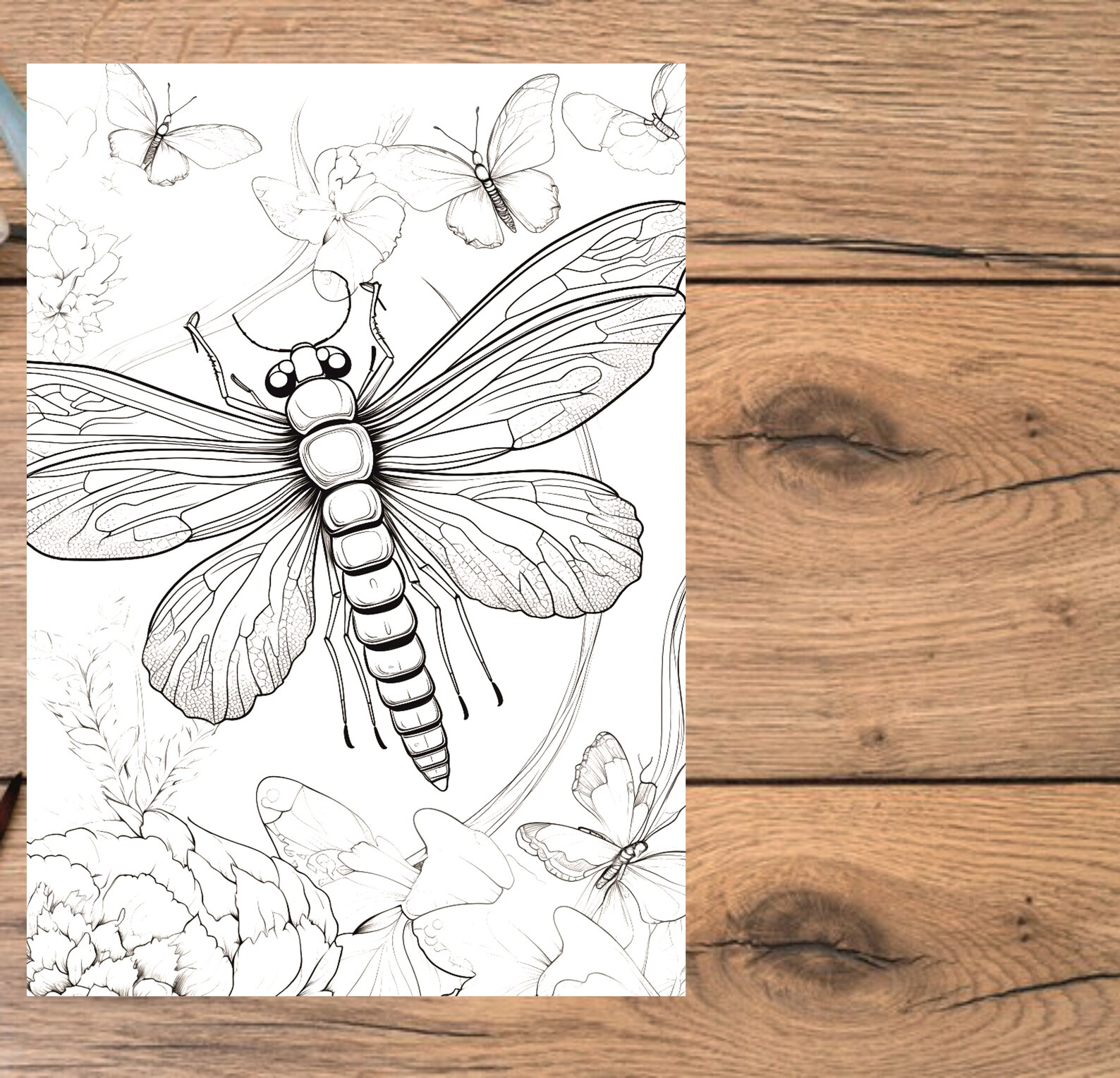 Insects Coloring Book, Printable Coloring Book, Nature Art, Entomology ...