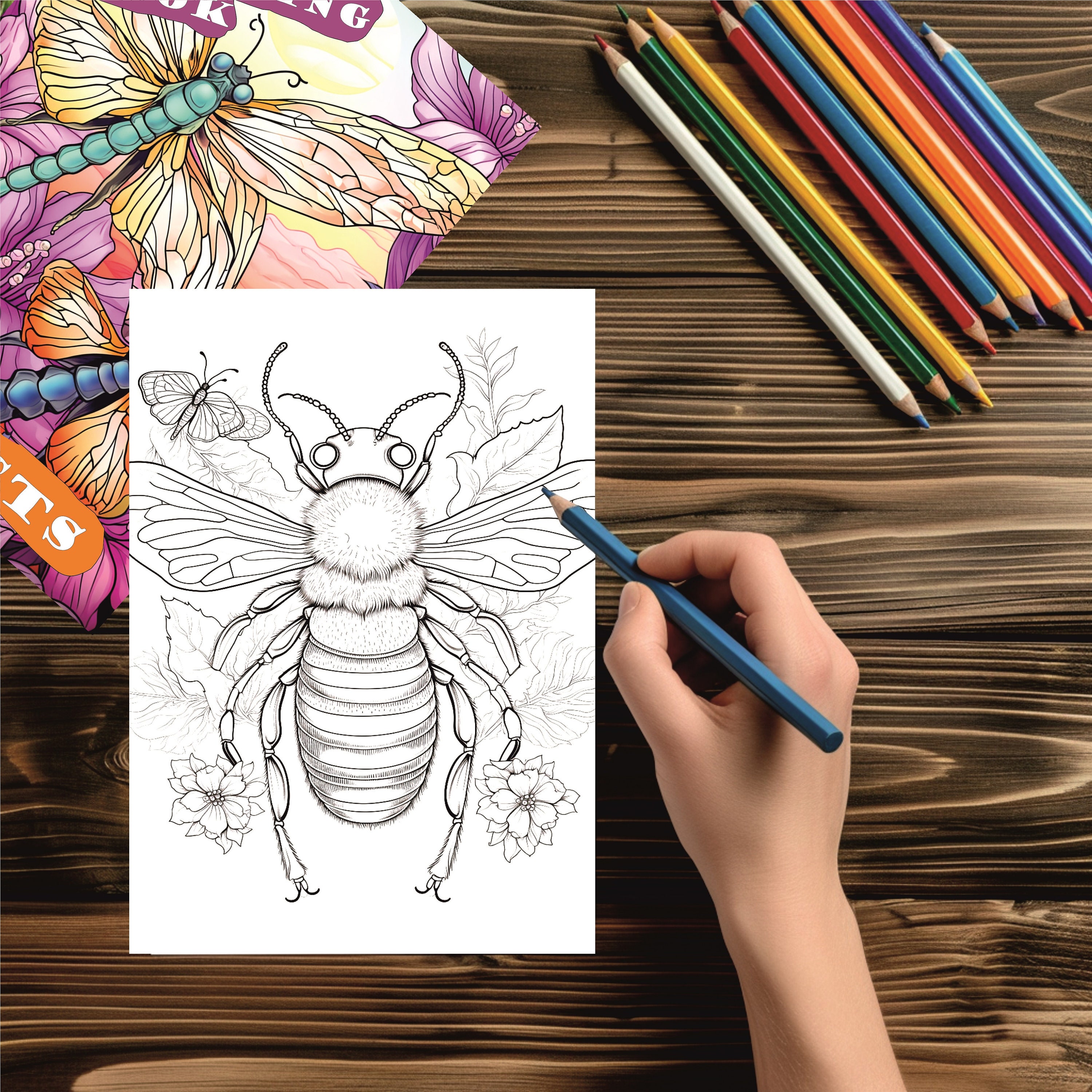 Insects Coloring Book, Printable Coloring Book, Nature Art, Entomology ...