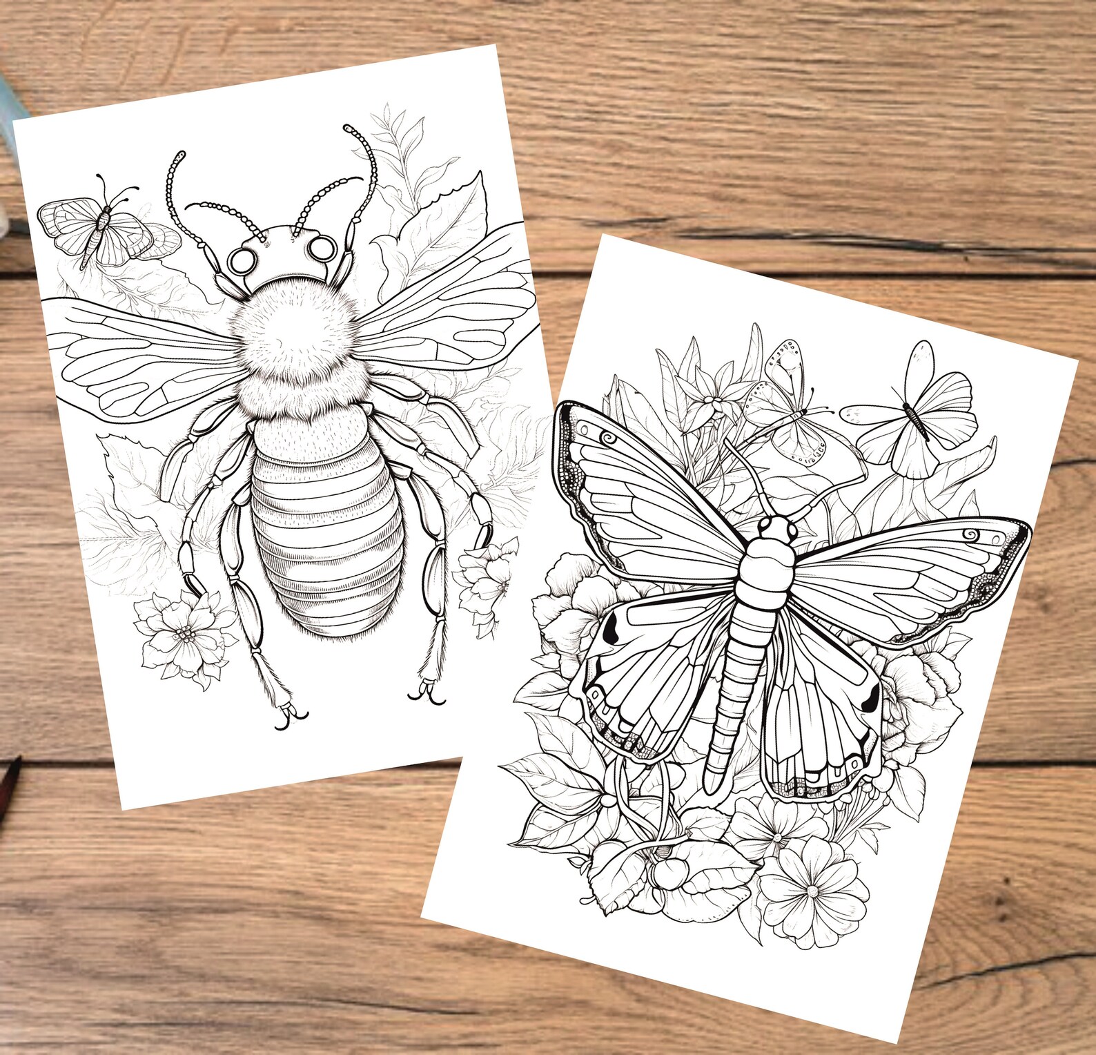 Insects Coloring Book, Printable Coloring Book, Nature Art, Entomology ...