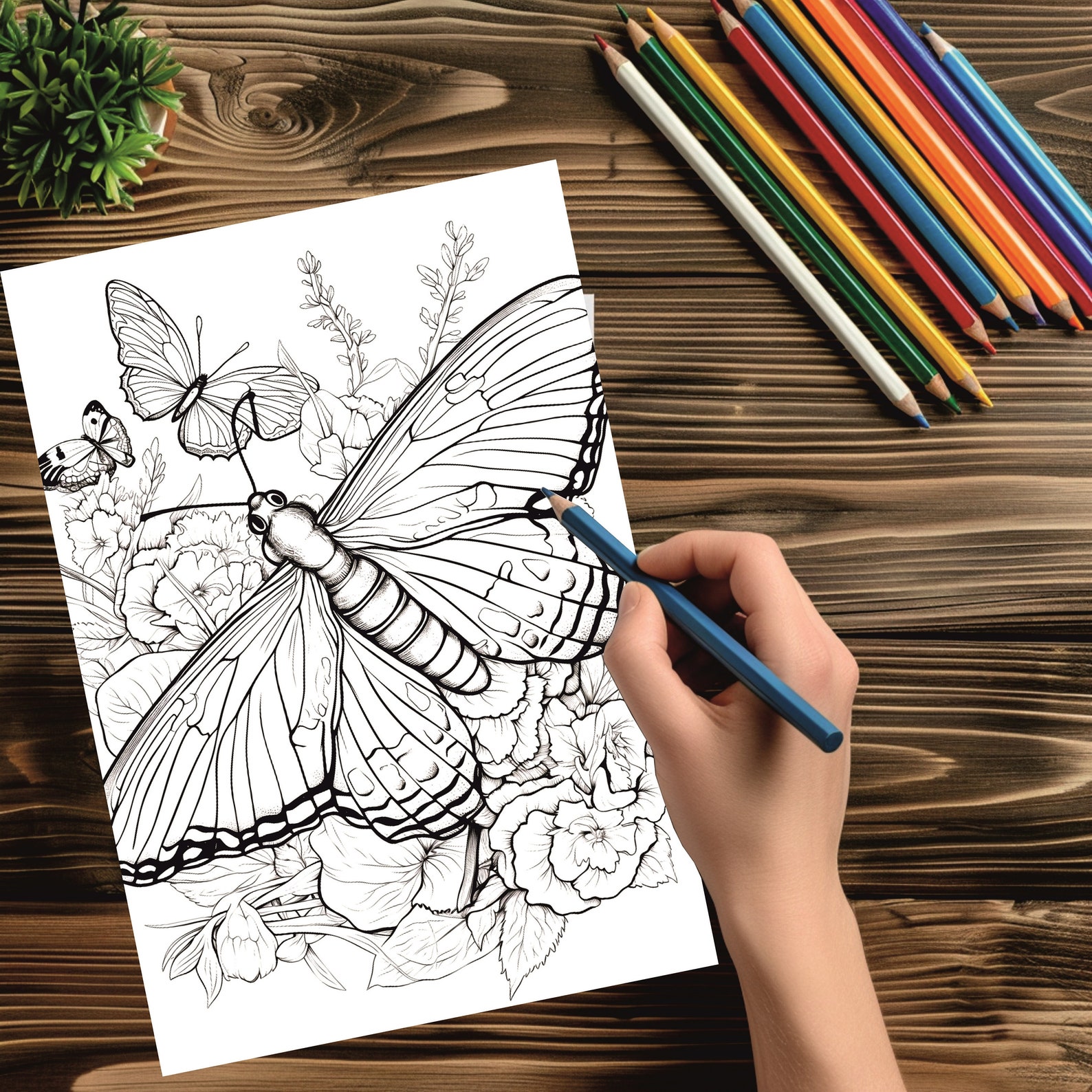 Insects Coloring Book, Printable Coloring Book, Nature Art, Entomology ...
