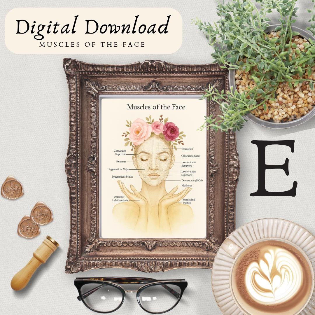 Muscles of the Face – Feminine Floral Anatomy Art | Digital Download ...
