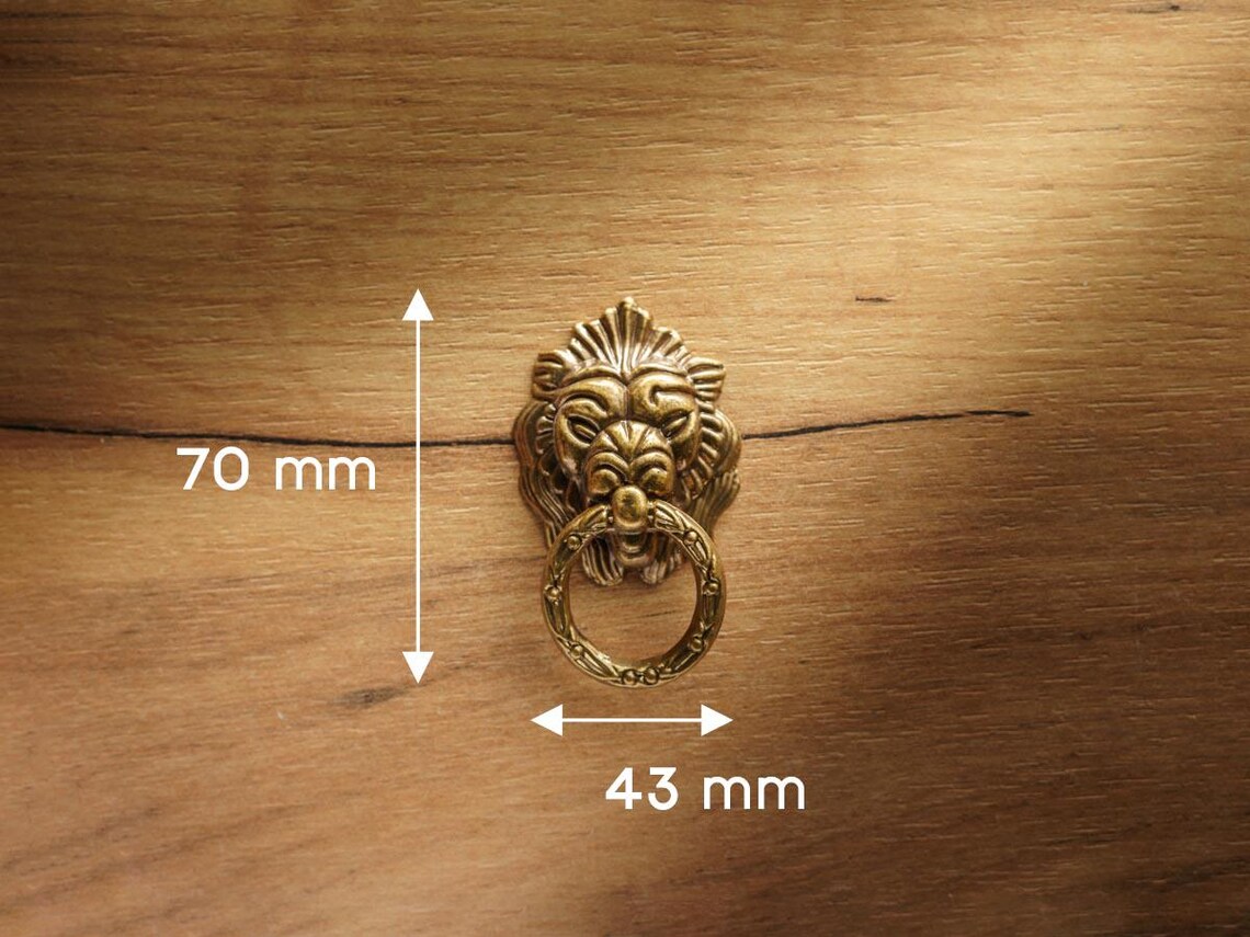 Vintage Lion Head Drawer Pull Set, Aged Knob With Unique Retro Design ...