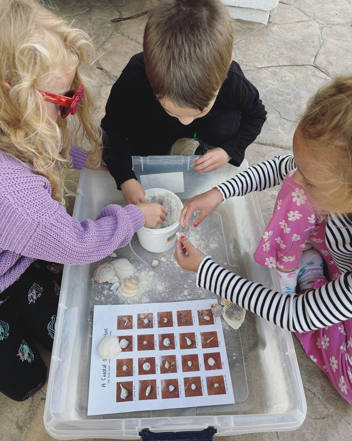 Beach Bucket- A Coastal Scavenger Hunt. Search Through the Sand to Find ...