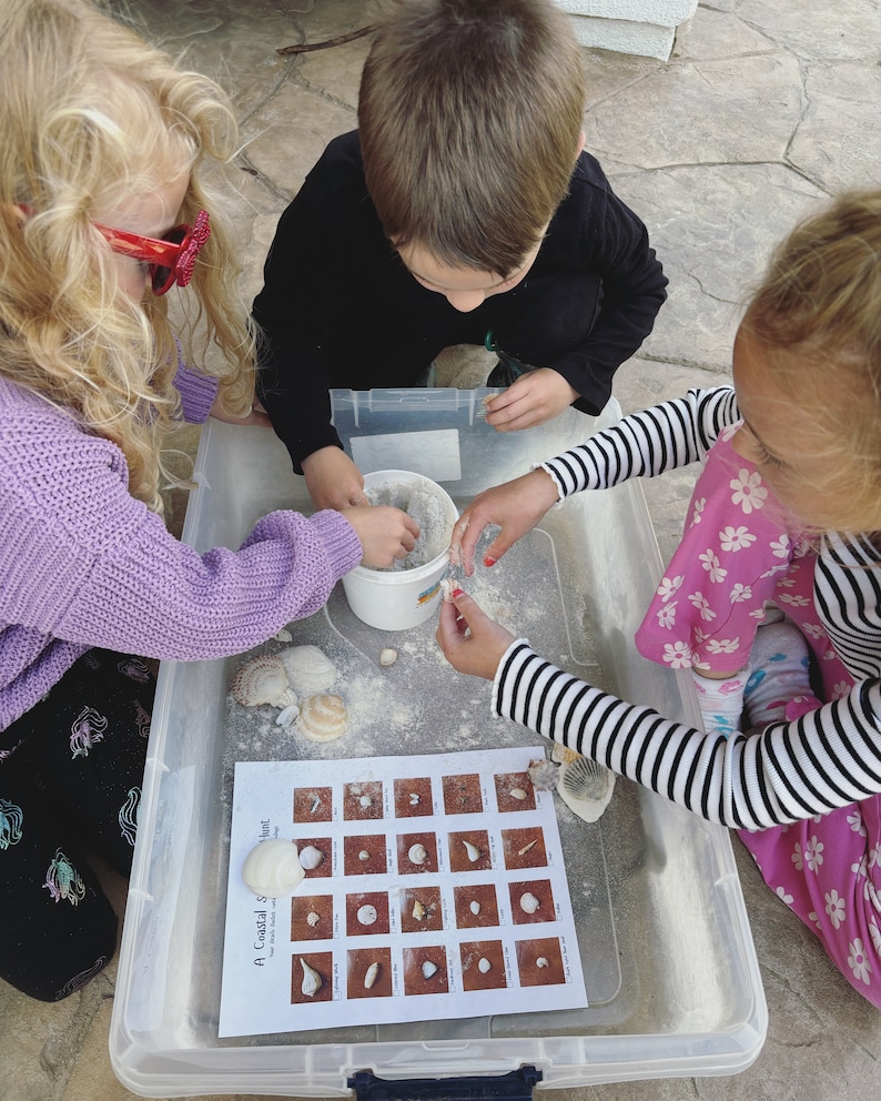 Beach Bucket- A Coastal Scavenger Hunt. Search Through the Sand to Find ...
