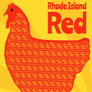 Rhode Island Red Pop Art Print by Giraffes and Robots - Etsy