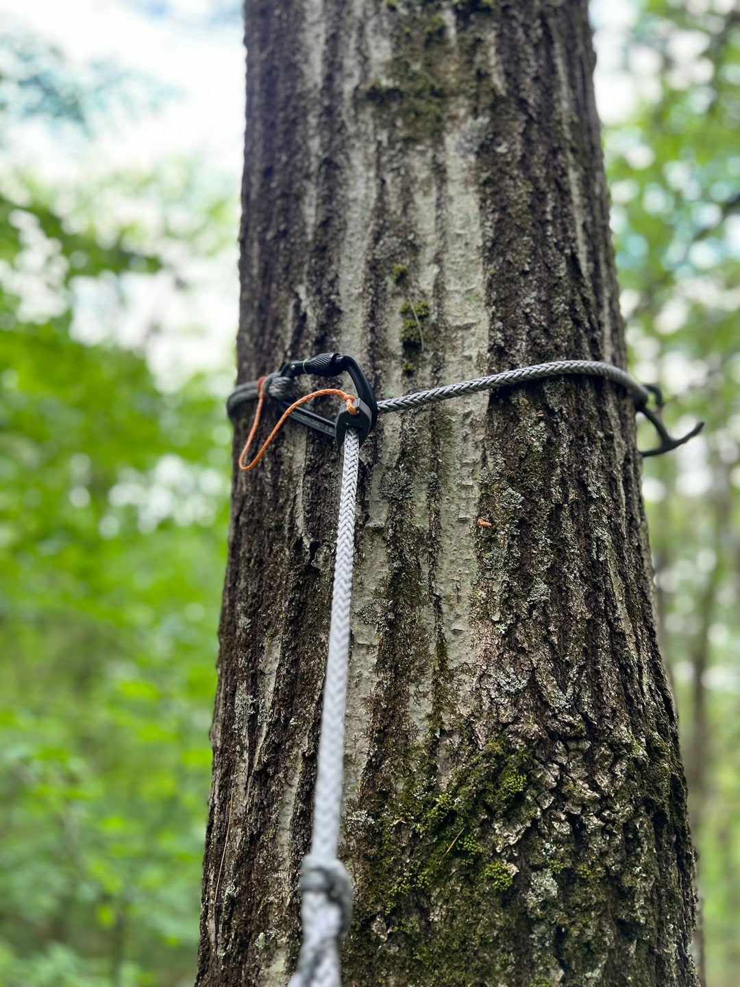 Spartan Tether Locker for Elevated Hunting Saddle Hang and Hunt - Etsy