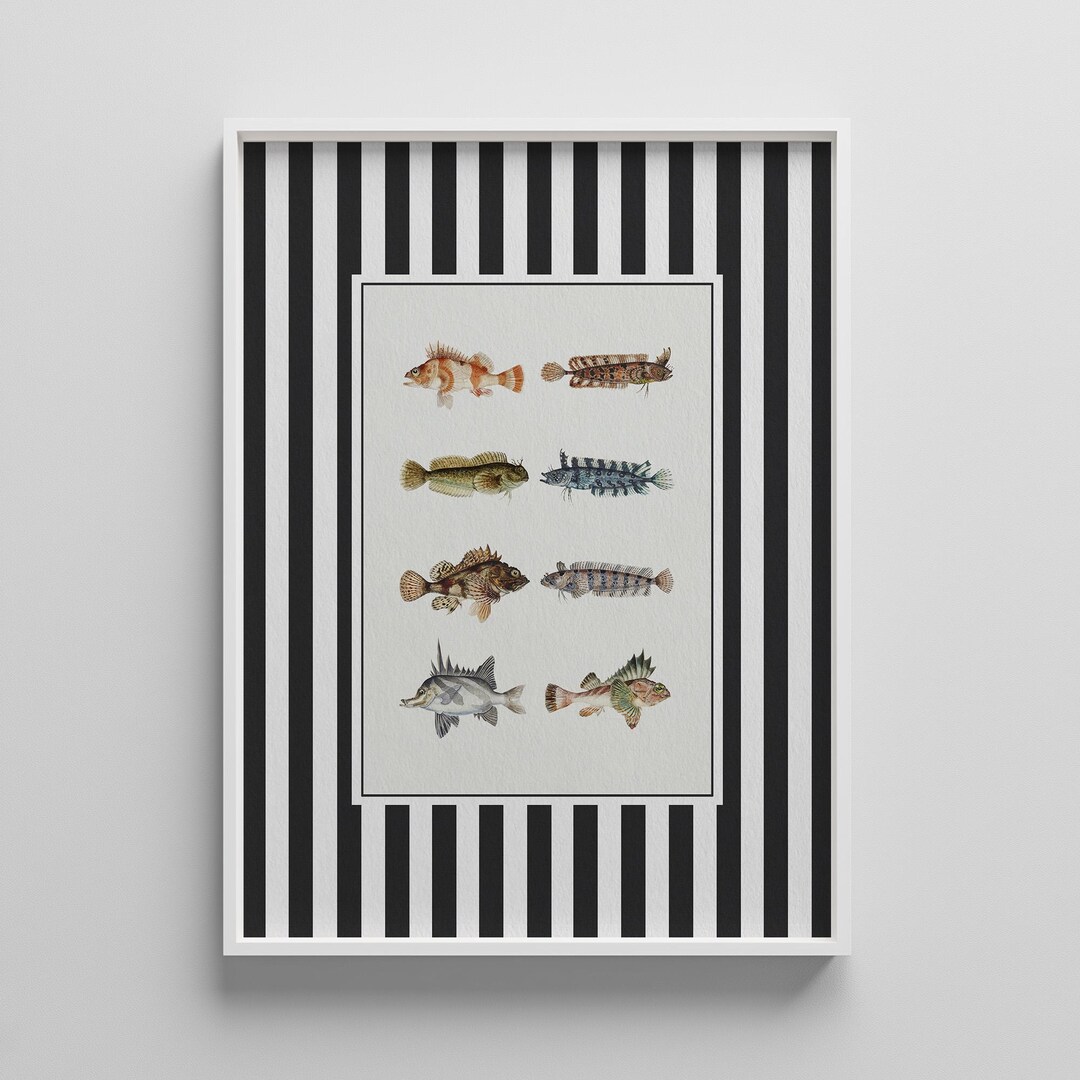 Vintage Fish Print Set: Antique Lake House Wall Art (digital Download ...