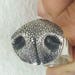 Dog Nose Ring Silver Pet Memorial Jewelry Bespoke Ring - Etsy UK