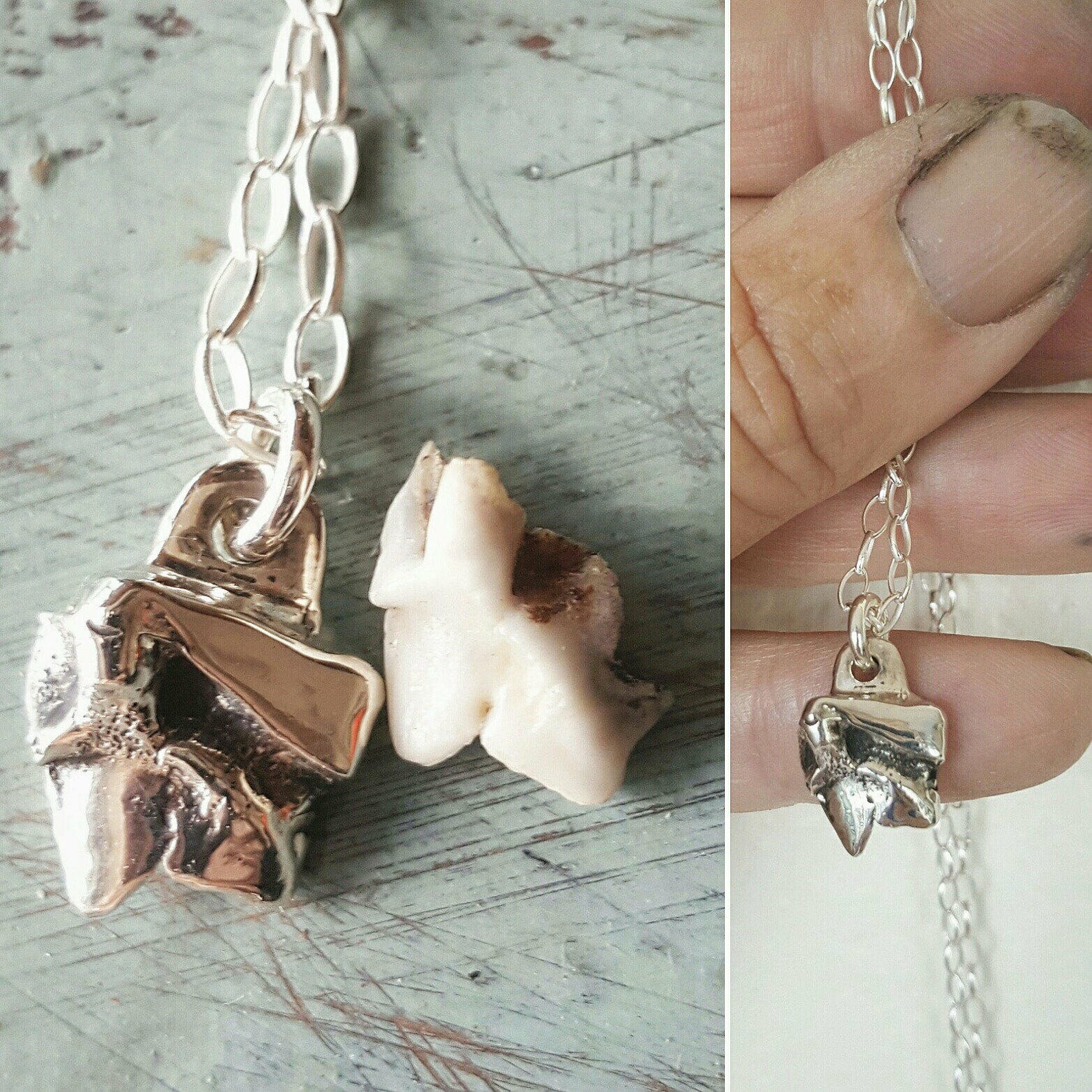 Canine Tooth Necklace Dog Teeth Pendant Custom Sterling Silver ...