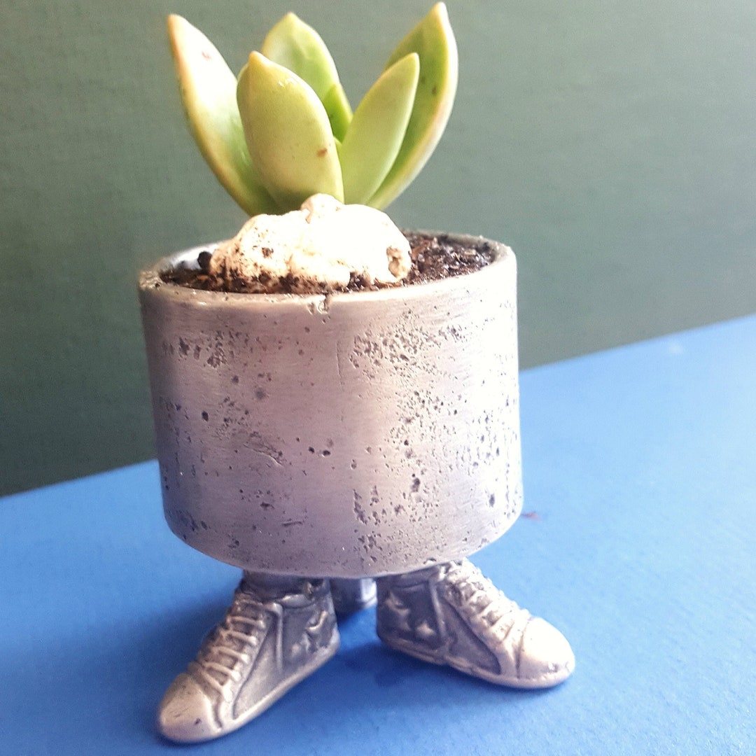 Pewter Planter Pot, Vase, Succulent, Mini Cup, Funny Pots, Sneaker Vase ...
