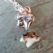 Canine Tooth Necklace Dog Teeth Pendant Custom Sterling Silver ...