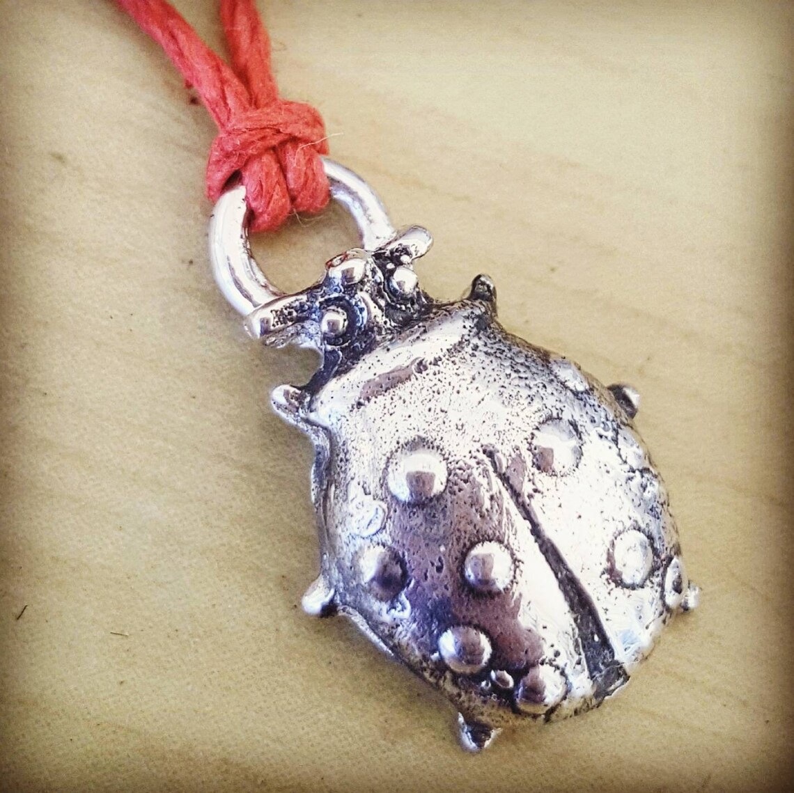 Ladybug Necklace, Ladybug Pendant, Bug Jewelry, Handmade Necklace. Bug ...