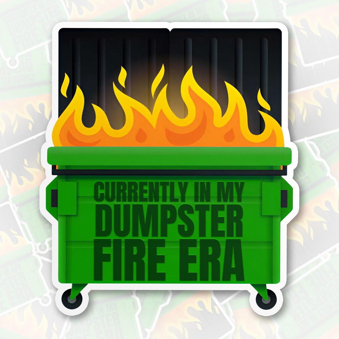 In My Dumpster Fire Era Sticker, Mental Health Stickers Raccoon Possum ...