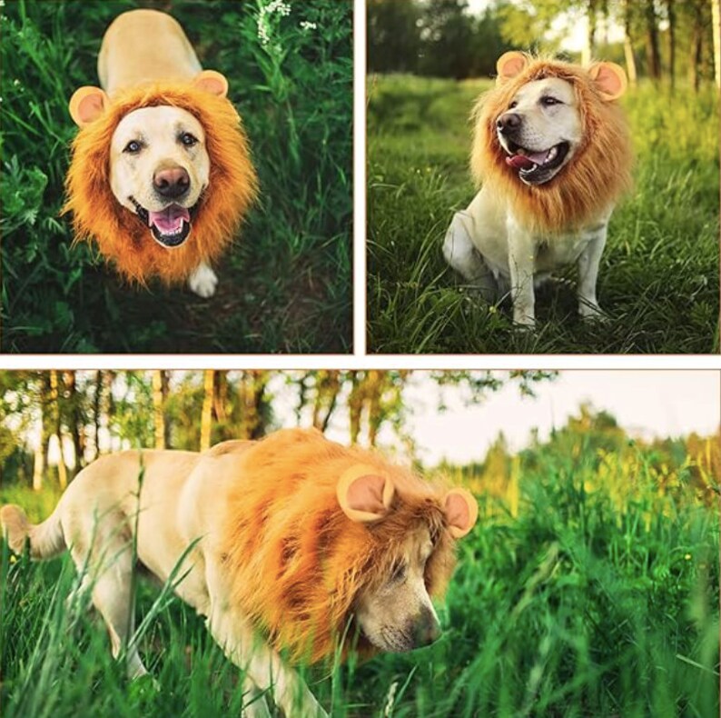 Realistic Lion Mane Wig for Medium to Large Dogs Fun Halloween Costume ...