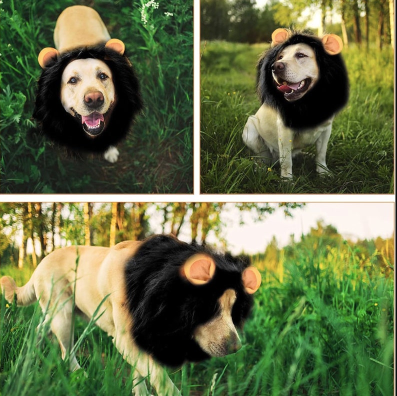 Realistic Lion Mane Wig for Medium to Large Dogs Fun Halloween Costume ...