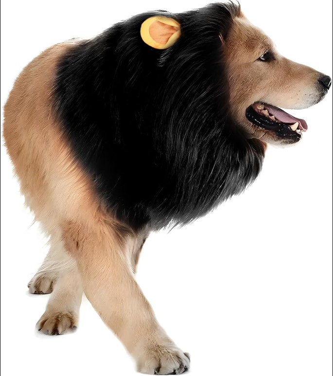 Realistic Lion Mane Wig for Medium to Large Dogs Fun Halloween Costume ...